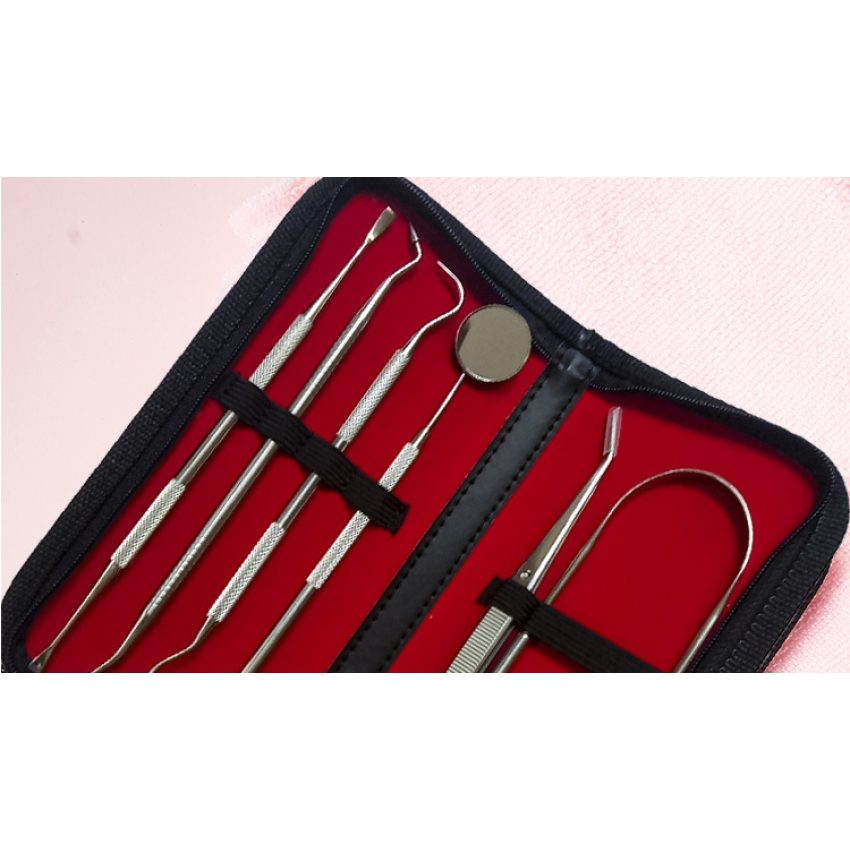 Oral Care Stainless Steel Hygiene Tooth Dental Tool Kit