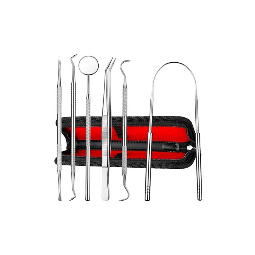 Oral Care Stainless Steel Hygiene Tooth Dental Tool Kit