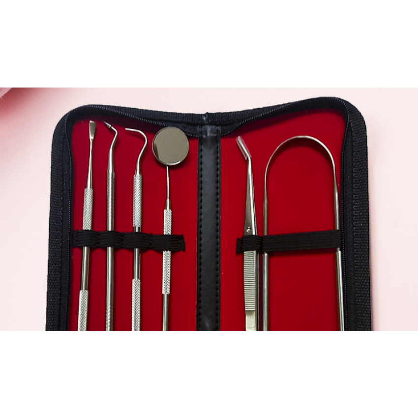 Oral Care Stainless Steel Hygiene Tooth Dental Tool Kit