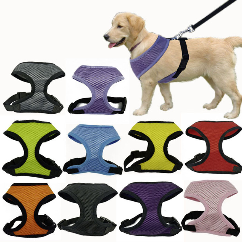 Pet chest straps - home