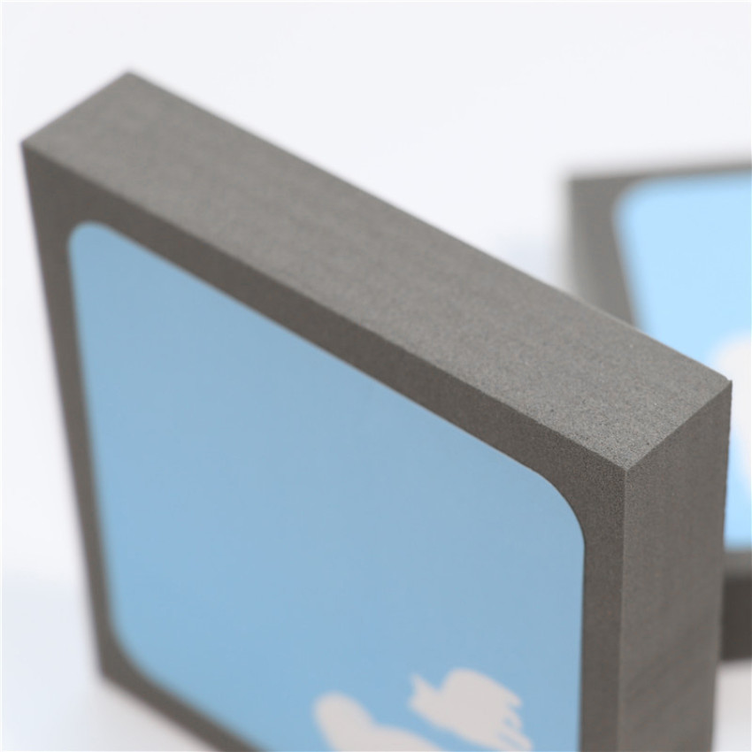 2Pcs Fur Sponge Pet Dog Cat Hair Cleaner